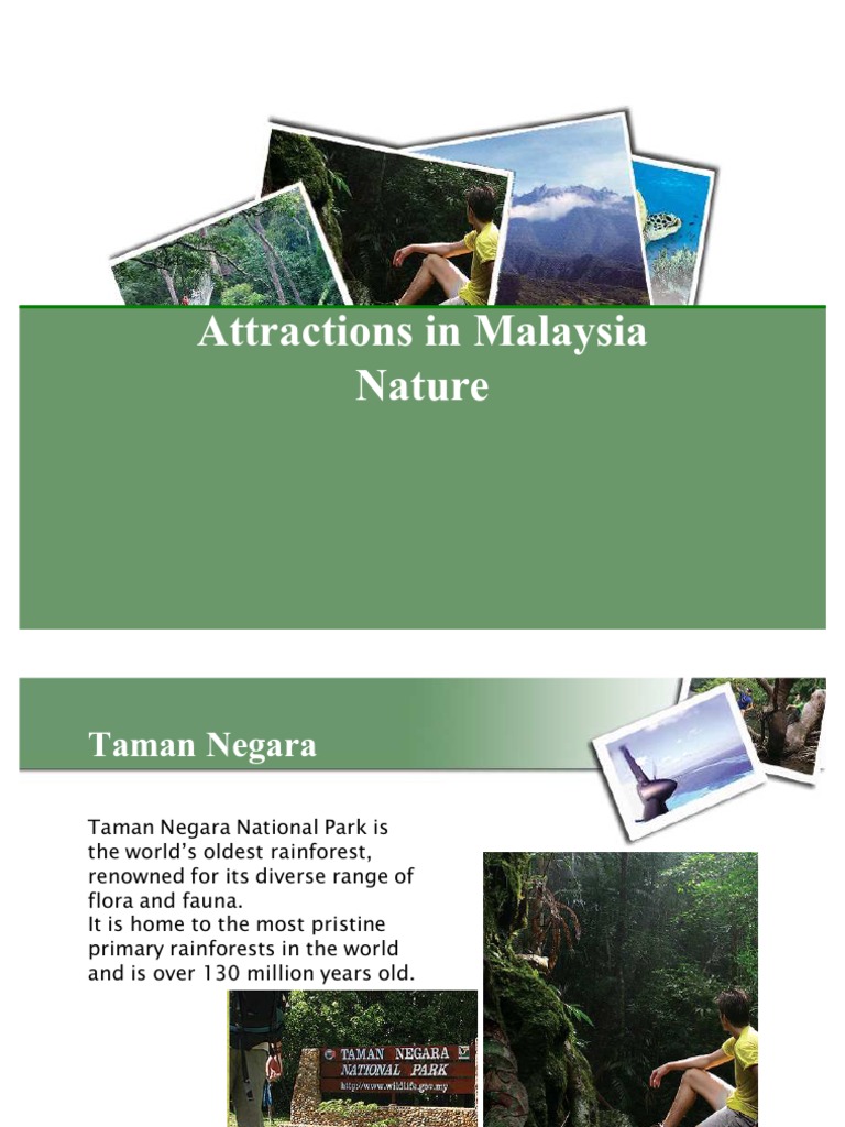 09 - Attractions - Nature | PDF | Forests | Nature