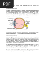 Astenopia o Fatiga Visual | PDF | Ojo humano | Oftalmología