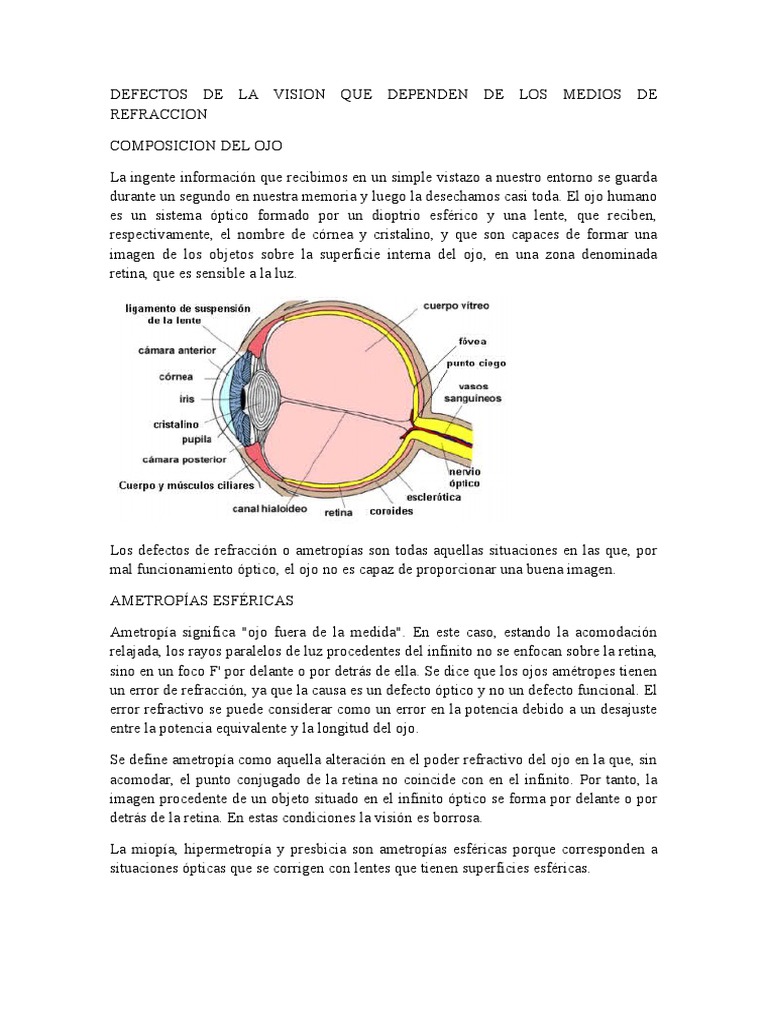 Defectos de la Visión y Ametropías | PDF | Ojo humano | Óptica