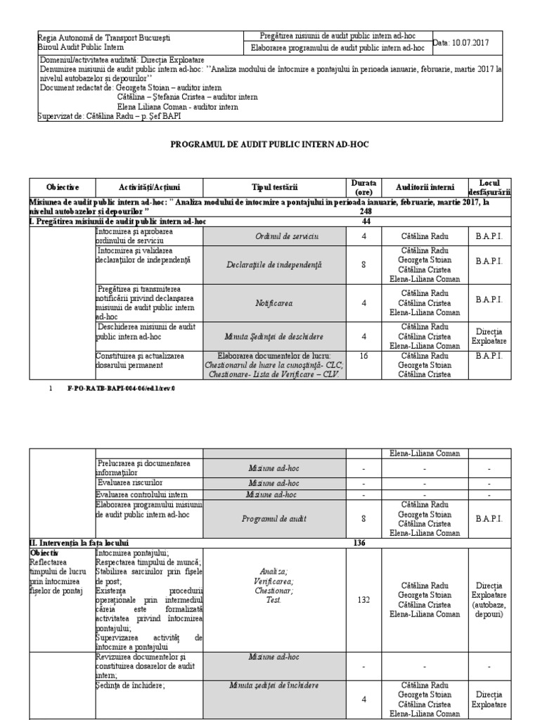 Program Audit PDF