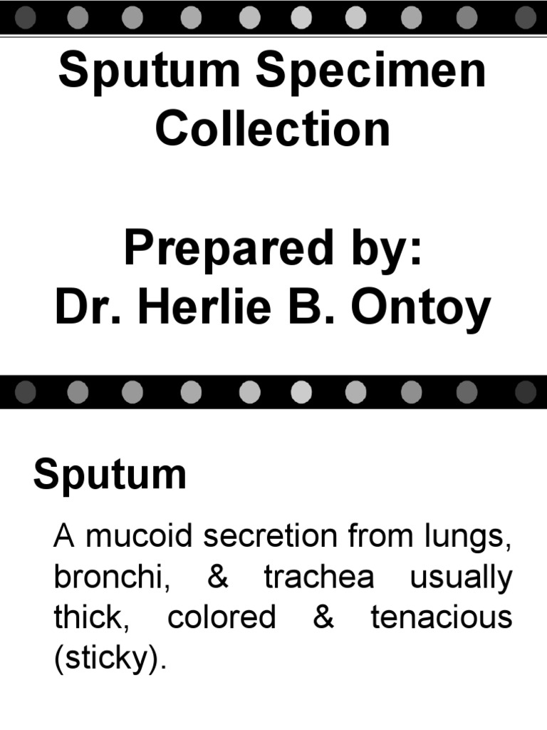 Sputum Specimen Collection | PDF | Pneumonia | Mucus