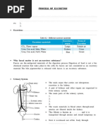 Kidney Filtration Model Grade 10 Worksheet | PDF | Kidney | Urinary System