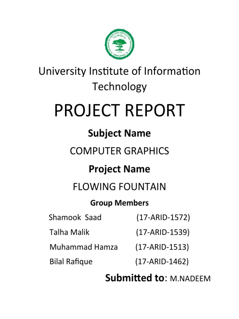 Graphics Project Report | PDF | Vertex (Geometry) | Computer Graphics