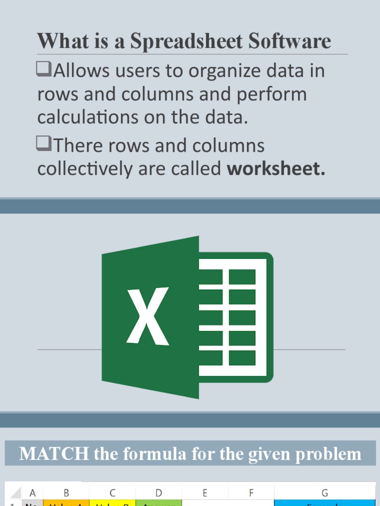 What Is A Spreadsheet Software | PDF | Microsoft Excel | Spreadsheet