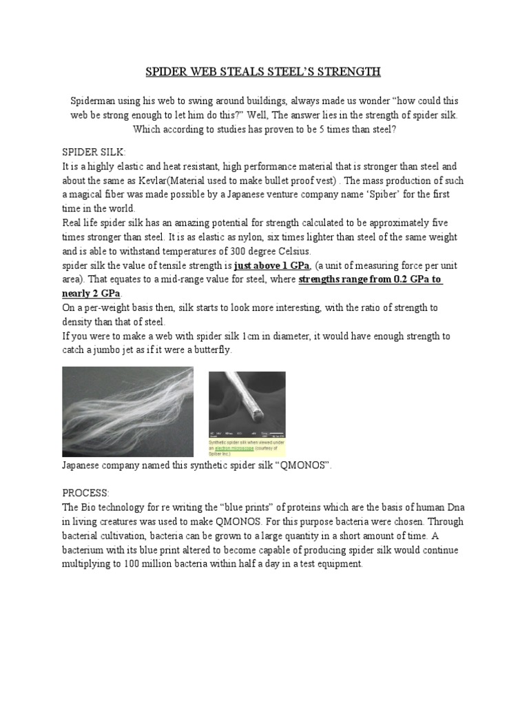 Spider Web Steals Steel'S Strength: Nearly 2 Gpa | PDF | Silk | Fibers