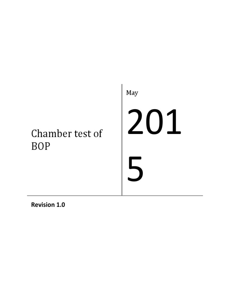Chamber Test of BOP | PDF | Business | Nature