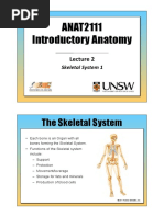 Skeletal System Concept Map | PDF | Bone | Histology