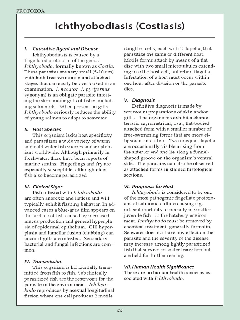 Ichthyobodiasis (Costiasis) : I. Causative Agent and Disease | PDF ...