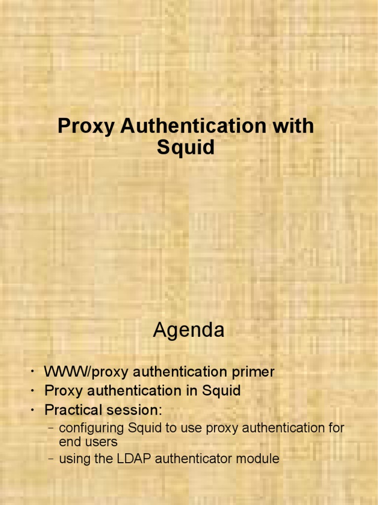 Proxy Authentication With Squid Pdf Proxy Server Hypertext Transfer Protocol