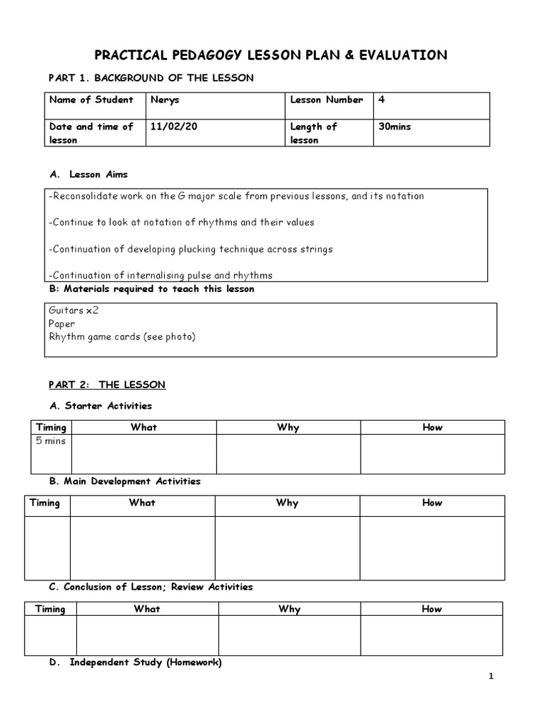 Practical Pedagogy Lesson Plan & Evaluation | PDF | Lesson Plan | Pedagogy