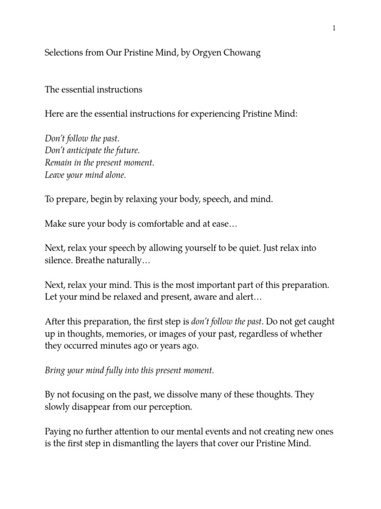 Selections From Our Pristine Mind | PDF | Meditation | Mind