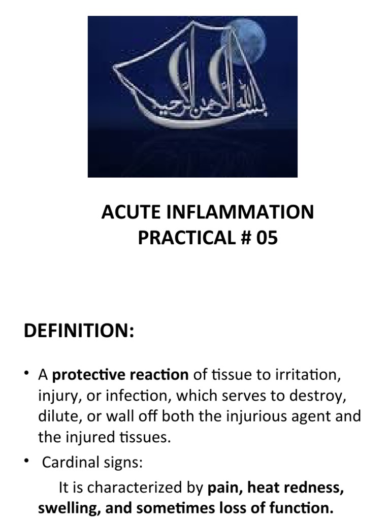 Understanding Acute Inflammation | PDF | Blood Vessel | Inflammation