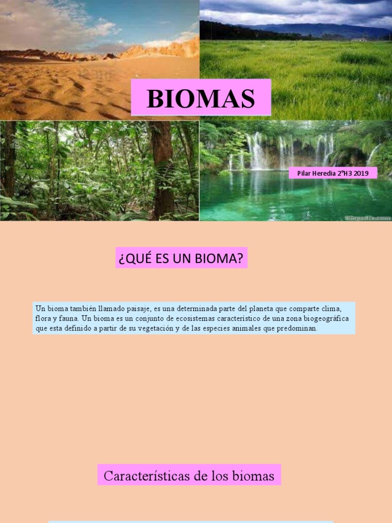 Biomas | PDF | Ecosistema | Selva