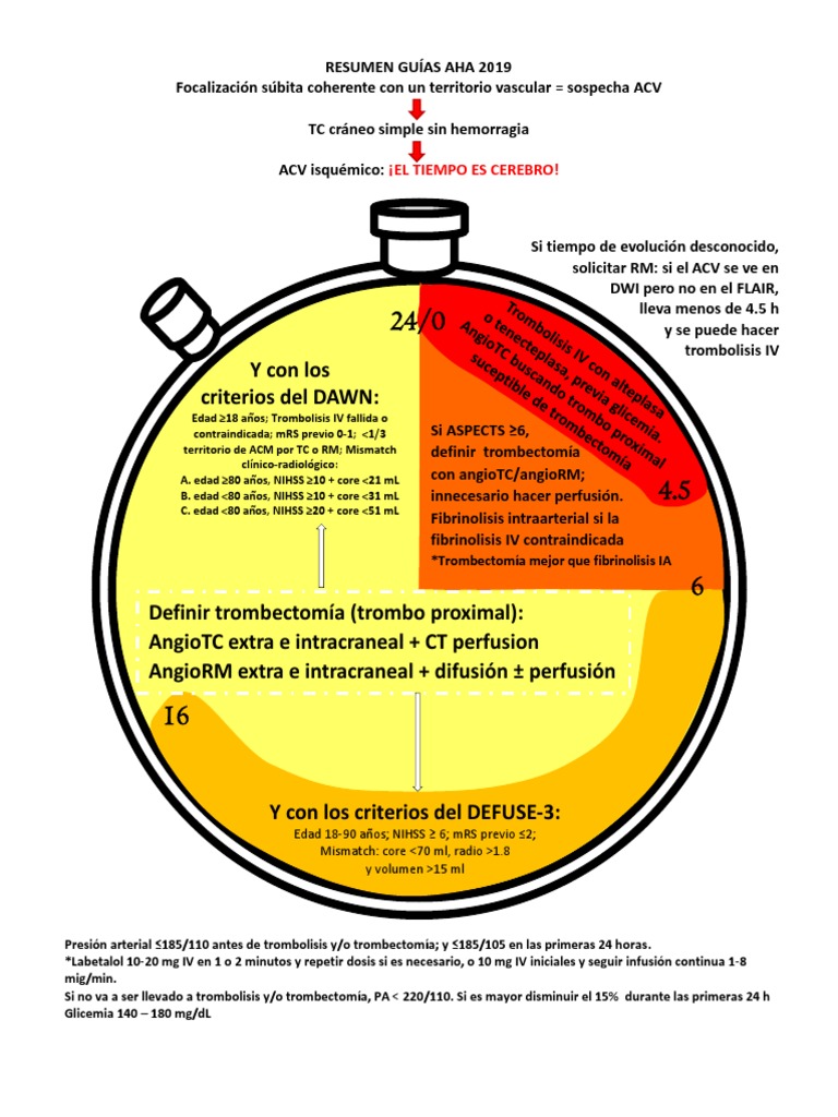 Infografía ACV | PDF | Sistema cardiovascular | Enfermedades y trastornos