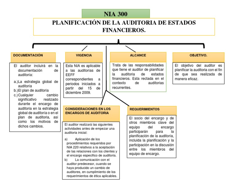 Mapa Mental Nia 300 | PDF | Auditoría | Business