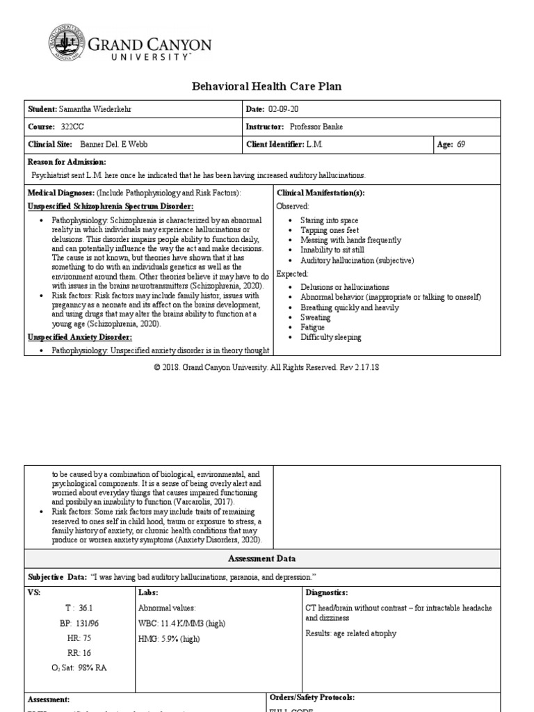Behavioral Health Care Plan | PDF | Mental Disorder | Schizophrenia