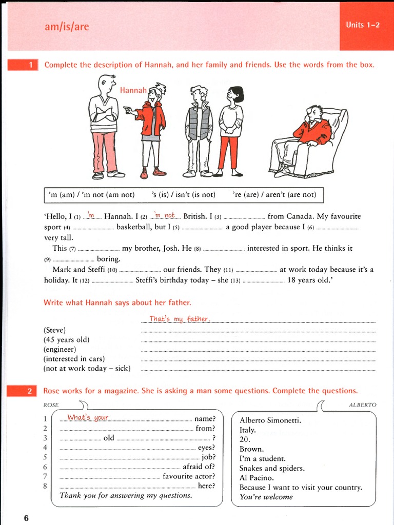 Basic English Grammar Exercises | PDF