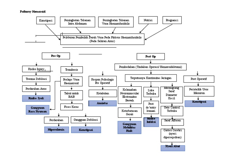 Pathway Hemoroid Pasca Operasi | PDF