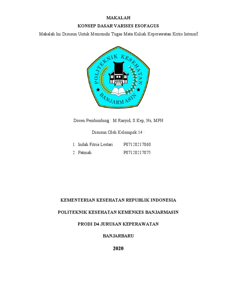 Konsep Dasar Varises Esofagus | PDF