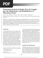 Askling L-Protocol for Hamstring Rehab | PDF | Electromyography ...