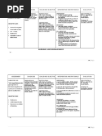 Nursing Care Plan Guide | PDF | Respiratory System | Anemia