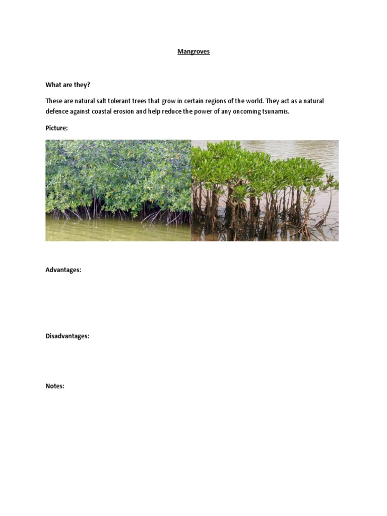 Mangroves | PDF