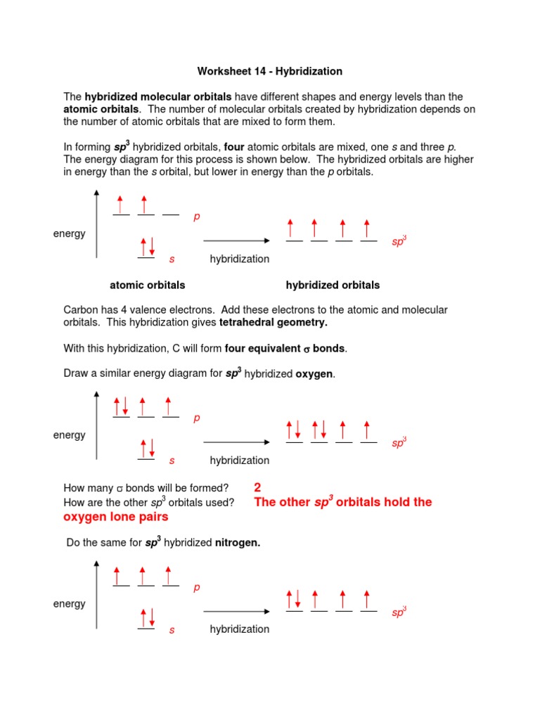 Worksheet 14 - Hybridization: 2 The Other SP Orbitals Hold The Oxygen ...