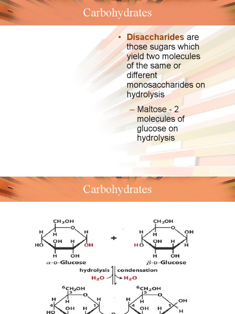 Carbohydrates 2nd Module | PDF
