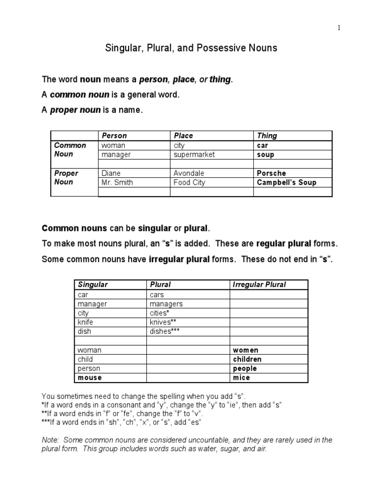 Singular, Plural, and Possessive Nouns | PDF | Plural | Grammatical Number