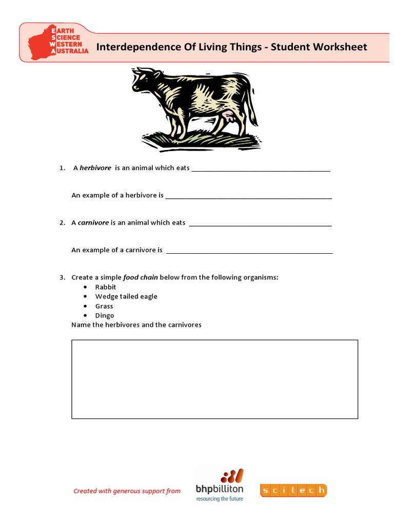Interdependence of Living Things - Student Worksheet | PDF