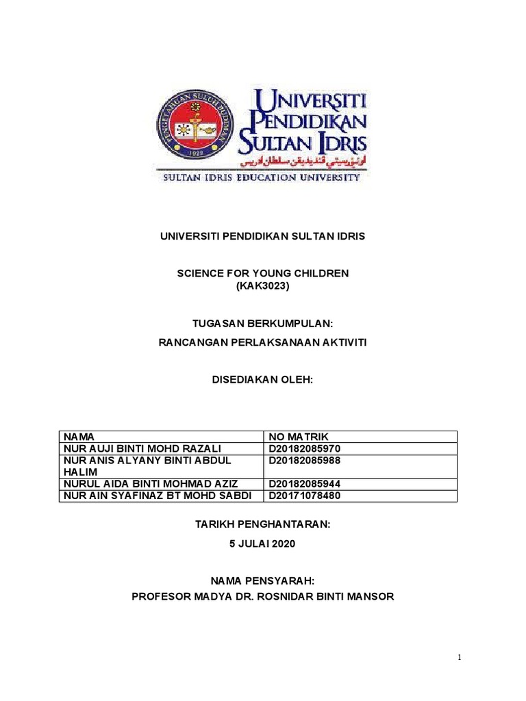 Assignment Berkumpulan Rpa | PDF