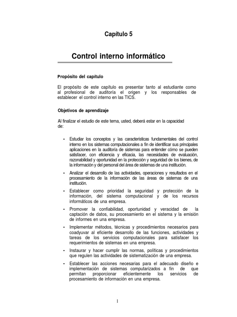 Control Interno Informático - Resumen | PDF | La seguridad informática ...