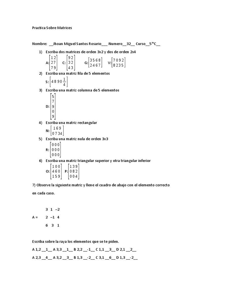 Practica Sobre Matrices | PDF