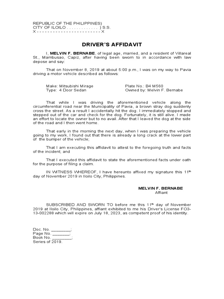 Driver's Affidavit Bernabe | PDF