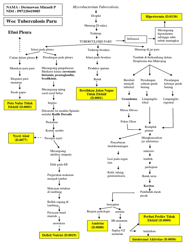 Woc TB Dermawan PDF | PDF