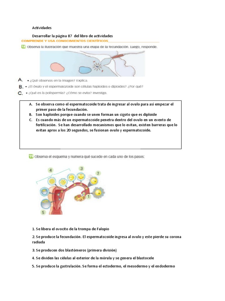 FECUNDACION | PDF