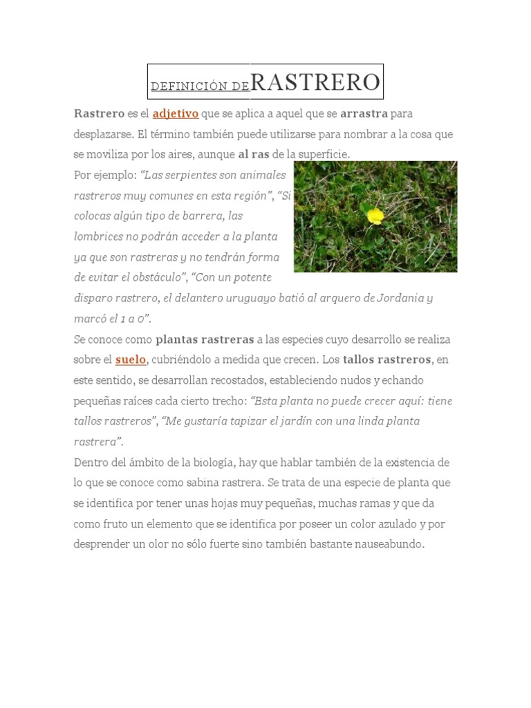 Definición de Rastrero | PDF