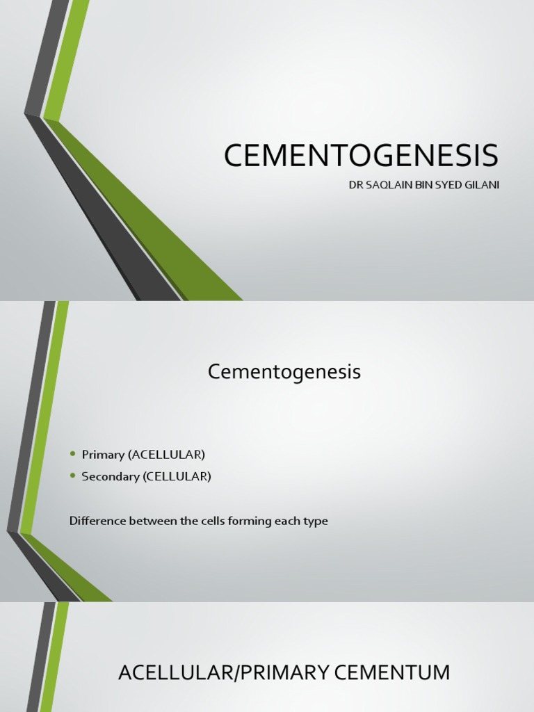CEMENTOGENESIS: THE FORMATION OF PRIMARY AND SECONDARY CEMENTUM | PDF ...