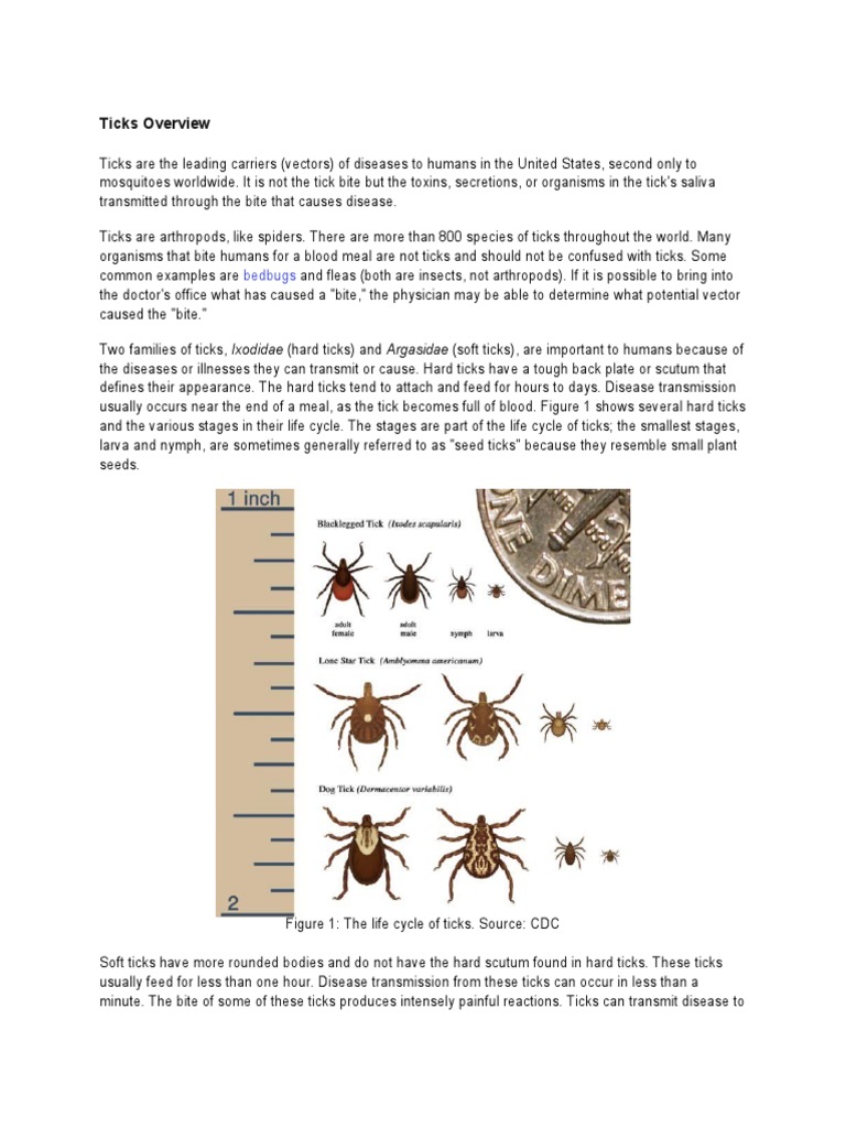 Ticks Overview | Download Free PDF | Immunology | Epidemiology