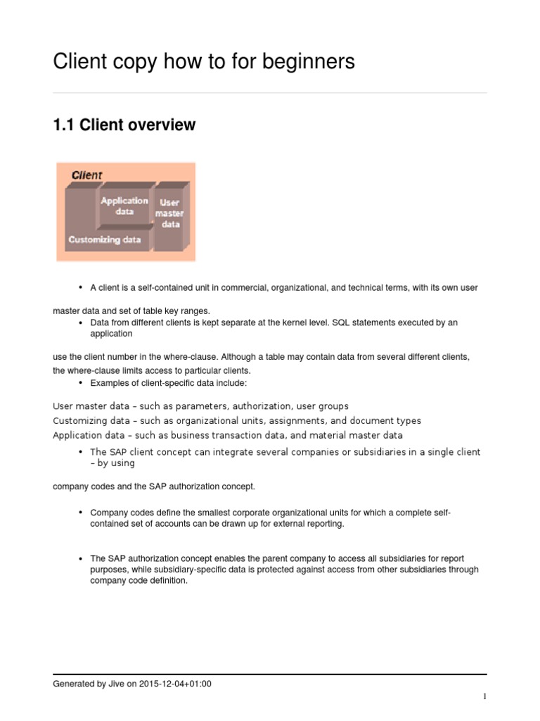 Beginner's Guide to Client Copy in SAP | PDF | Software Engineering ...