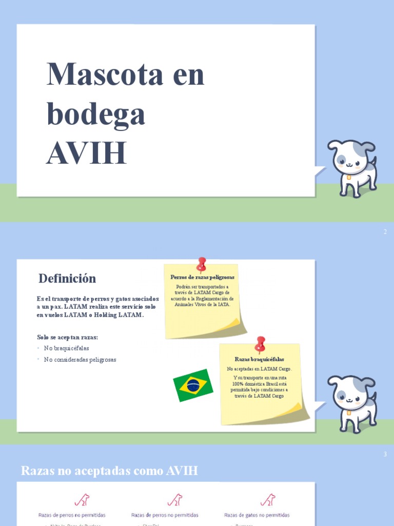 AVIH | PDF | Aviación | Transporte