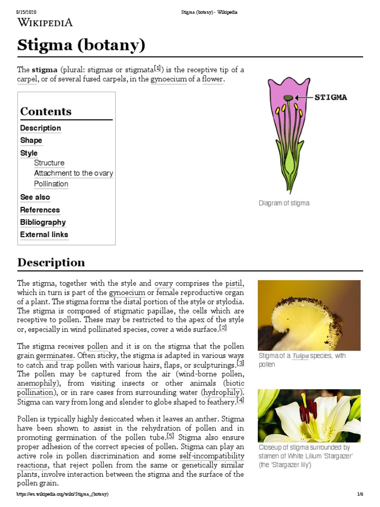 Stigma (Botany) Family PDF | PDF | Pollination | Horticultural Techniques