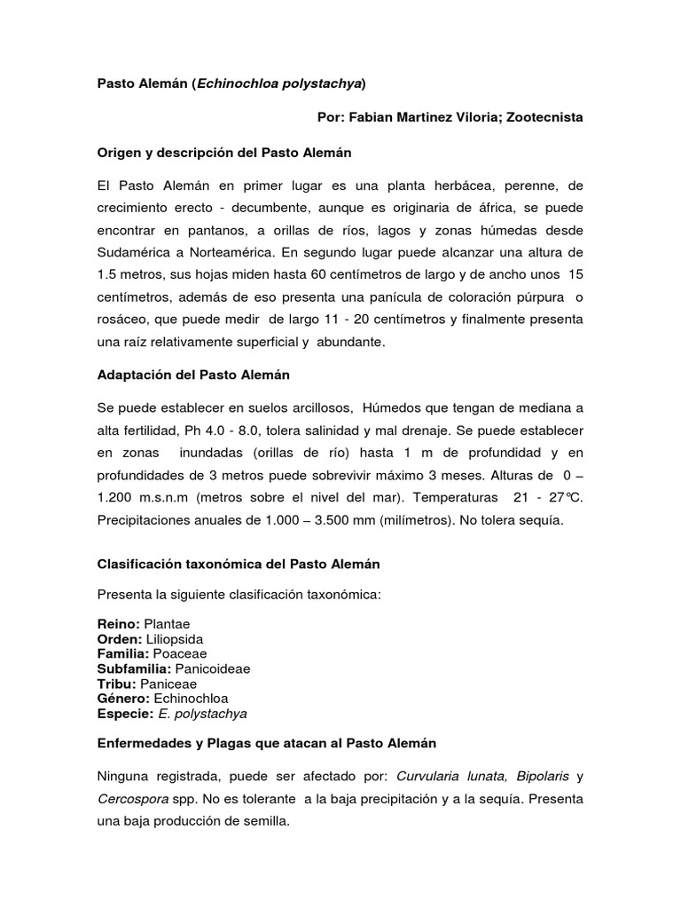 Ficha Tecnica Pasto Alemán | PDF | Plantas | Agricultura