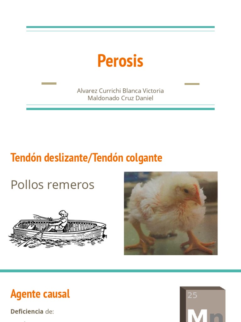Perosis | PDF | Metabolismo | Biosíntesis