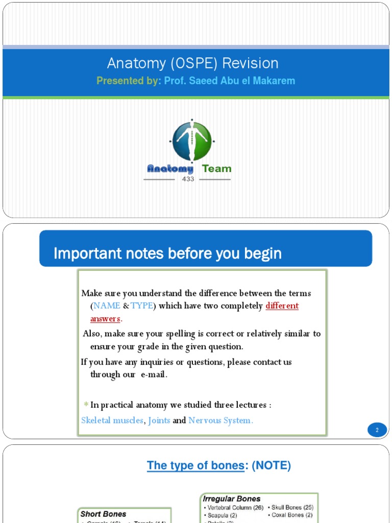 Anatomy OSPE Revision (Team WRK) PDF | PDF | Anatomical Terms Of Motion ...