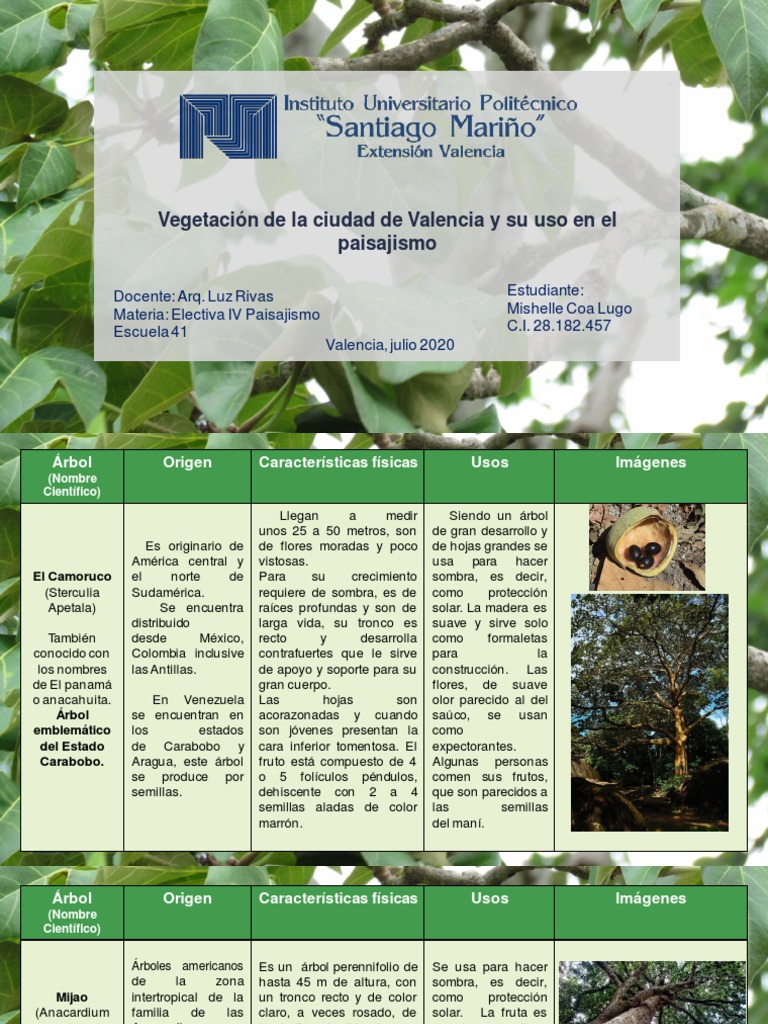 Vegetacion y Usos Mishelle Coa | PDF | Forma de vida vegetal | Botánica