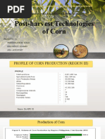 Copra Farming Calculator | PDF | Return On Investment | Coconut