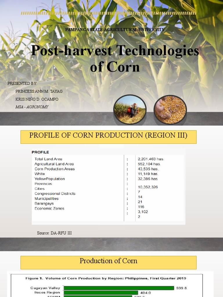 Post-Harvest Technologies of Corn: Pampanga State Agricultural ...