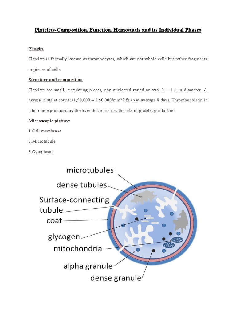 Platelets-Composition, Function, Hemostasis and Its Individual Phases ...