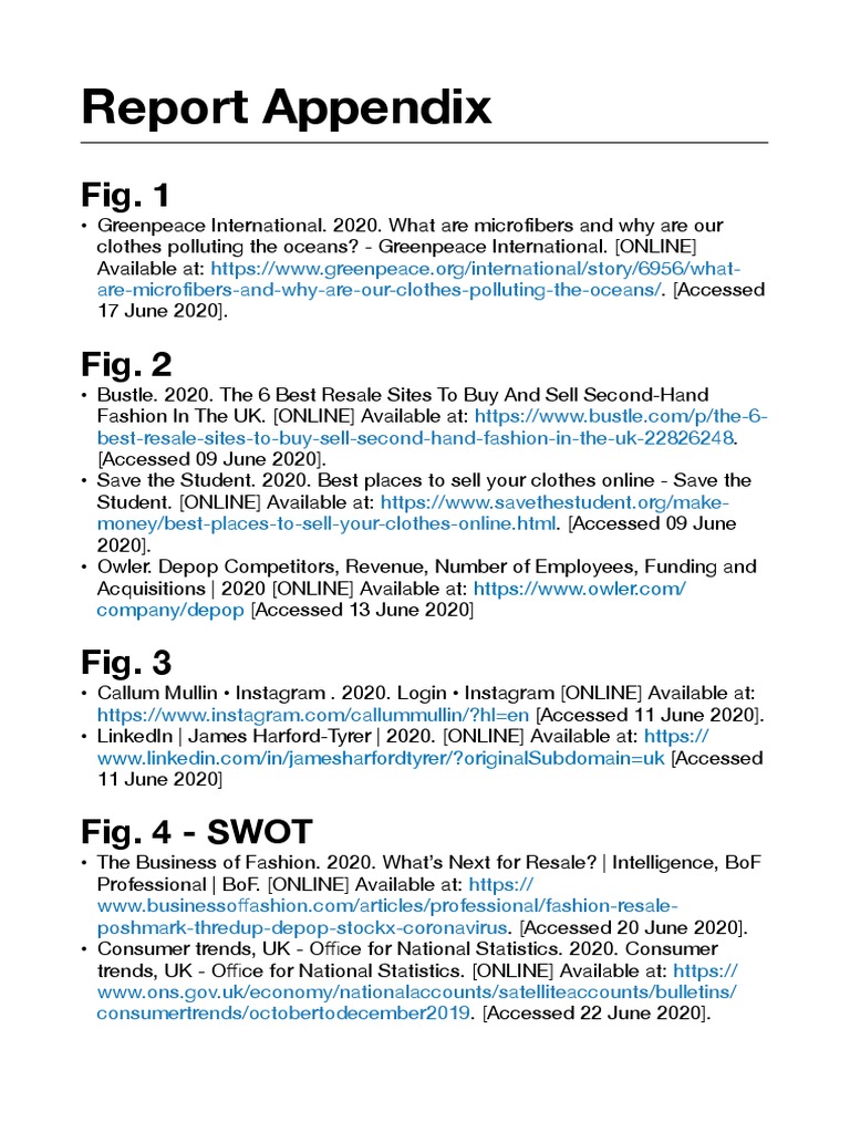 Report Appendix PDF | PDF | Digital Marketing | Internet